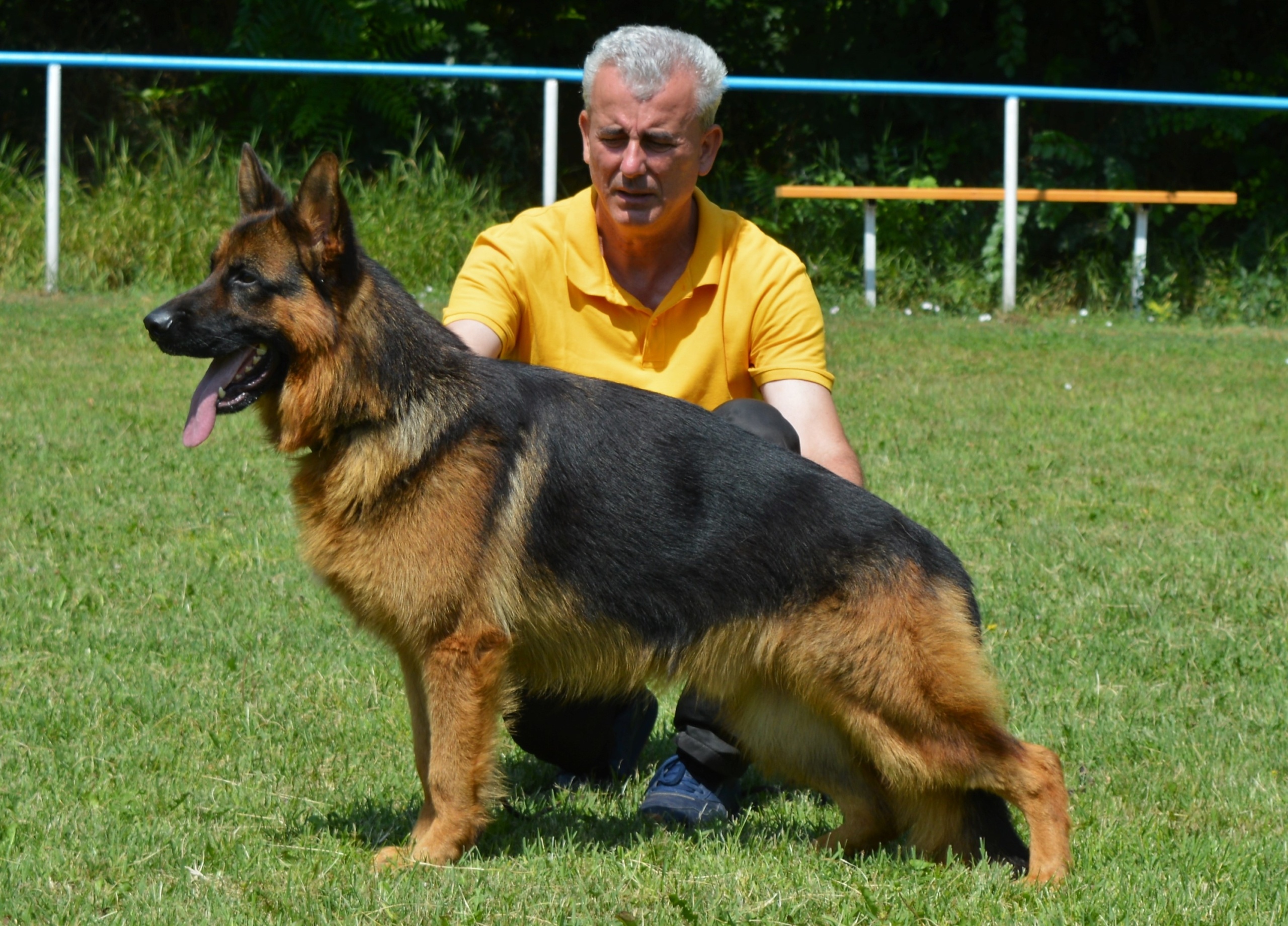 stack 2 | Banffyhaus